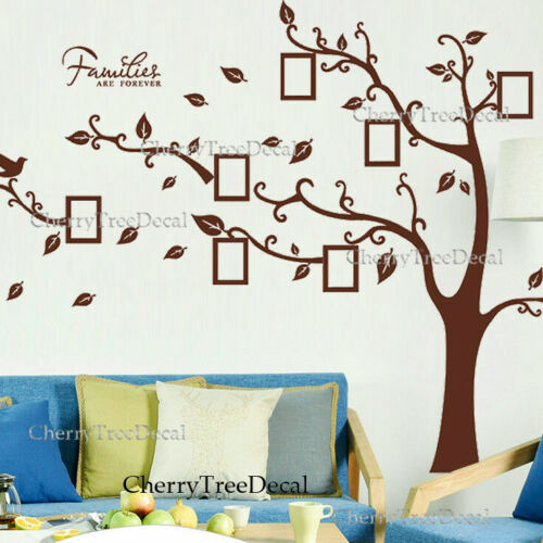 Large Photo Frame Tree REMOVABLE Wall Stickers Vinyl Home Art Decals | eBay