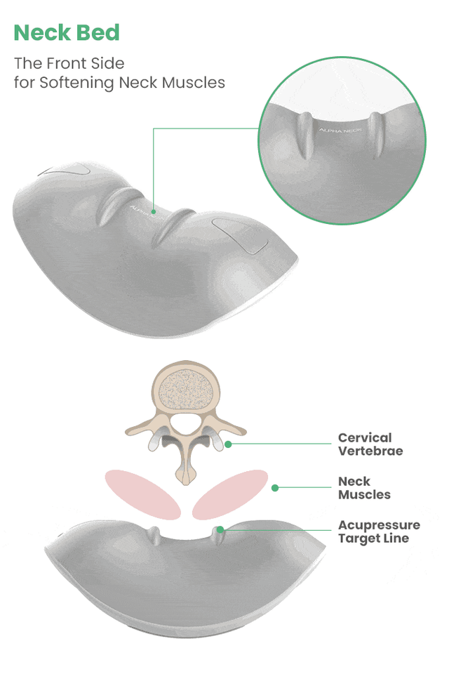 Hot circle alpha neck / Proper Neck Pain Management / Made in Korea | eBay