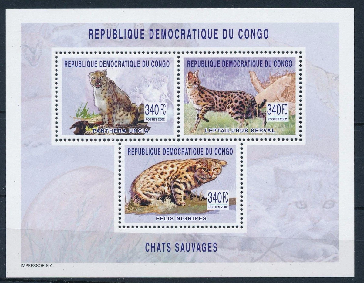 Congo Leopard