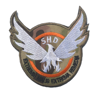 THE DIVISION SHD U.S. ARMY USA BADGE TACTICAL EMBRODIERED HOOK PATCH ...