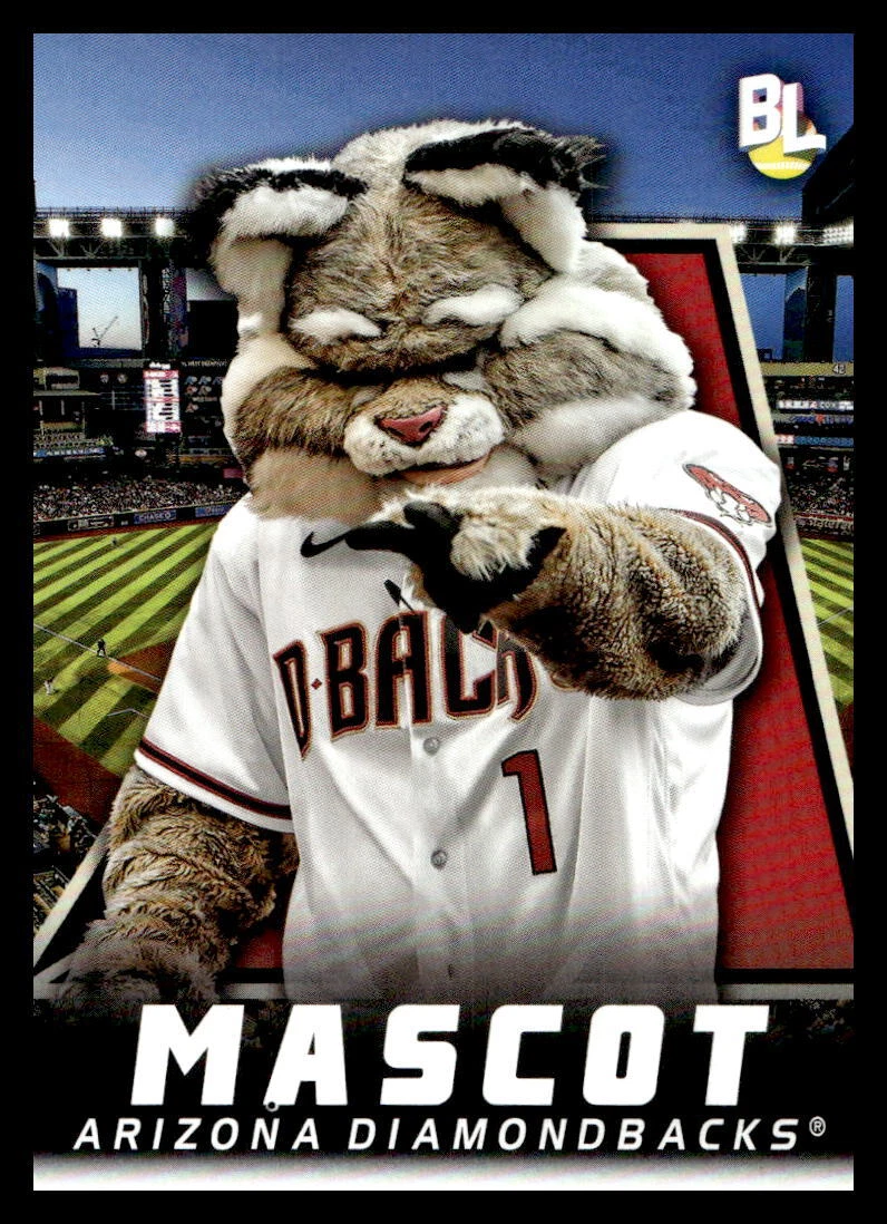 Diamondbacks Mascot