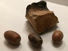 Abraham's Oak Bark Relic Tree of Mamre Acorns Hebron Ancient Holy Site ...
