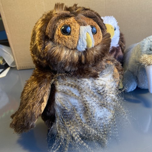 Webkinz Fans Barred Owl, Eagle, & Walrus Retired Plush Only No Codes ...