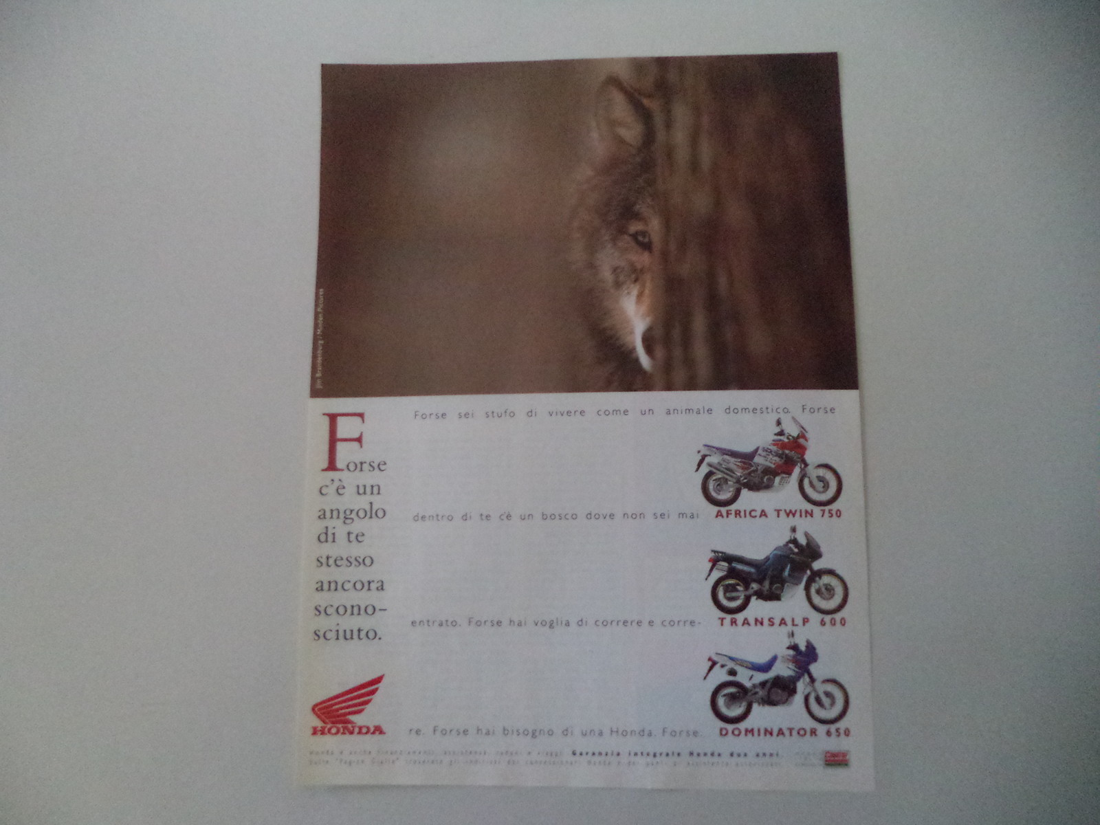 advertising Pubblicità 1994 HONDA XRV AFRICA TWIN 750/XL 600 TRANSALP ...