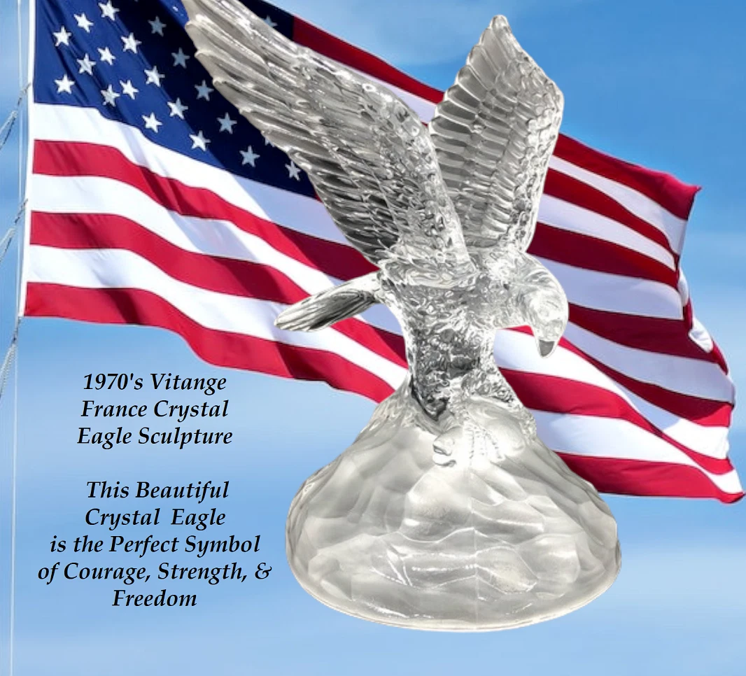 Murica Eagle Freedom