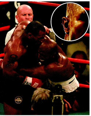 8x10 COLOR PHOTO of MIKE TYSON Biting EVANDER HOLYFIELD's Ear During a ...