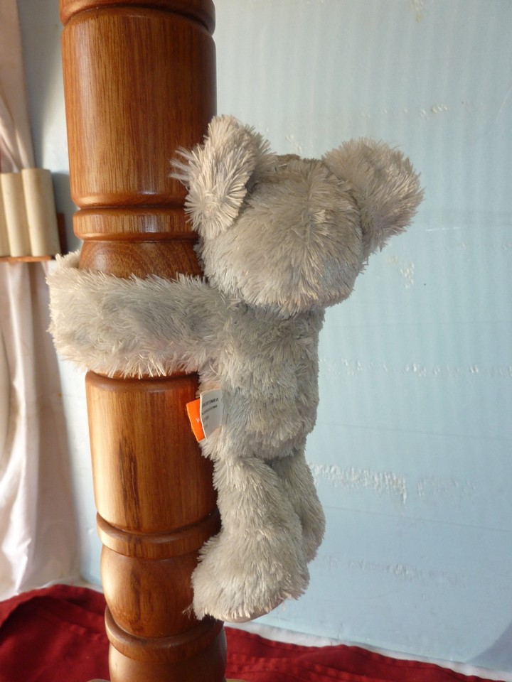 Wild Republic Koala Bear Hugger Toy Plush 8” Gray Australia Animal ...