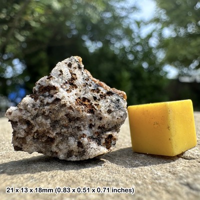 Campylite Crystal - Rare Lead Mineral - Bright Orange Specimen ...