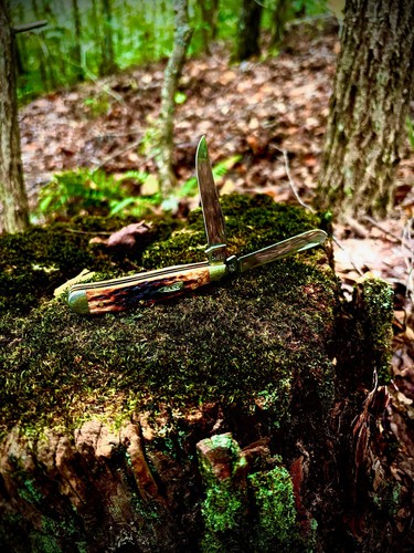 Case xx Knives Trapper Jigged Amber Bone Handle Pocket Knife Stainless ...