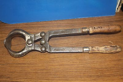 Cattle - Beef - Castration Tool