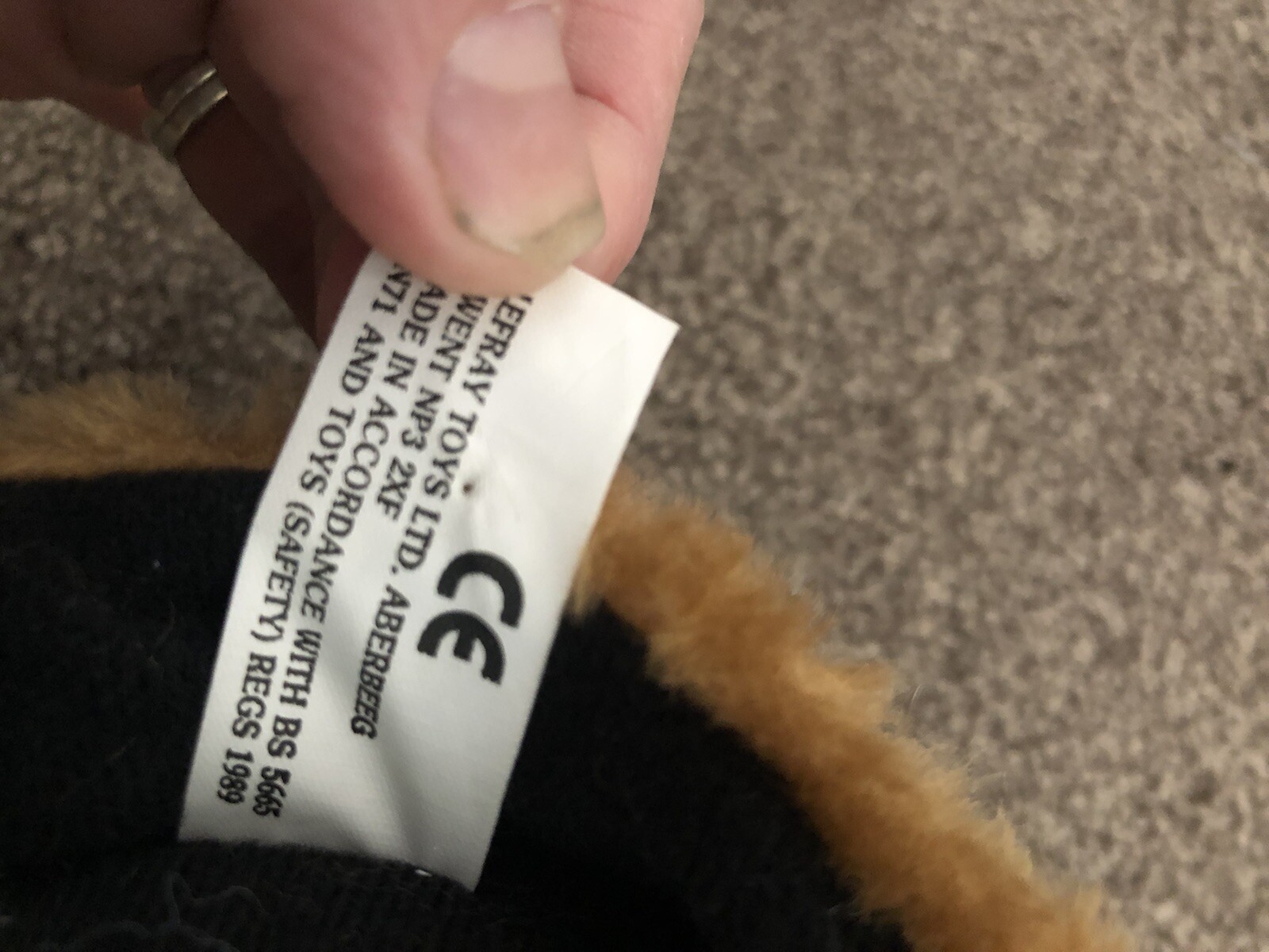 Aardman Animation Creature Comforts 'Frank the Tortoise' 1989 Gc | eBay UK