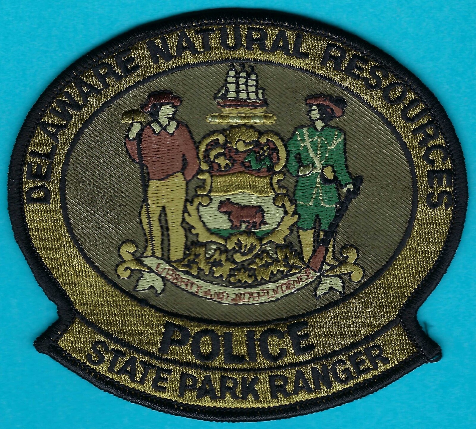 DELAWARE NATURAL RESOURCES STATE PARK RANGER POLICE SHOULDER PATCH | eBay