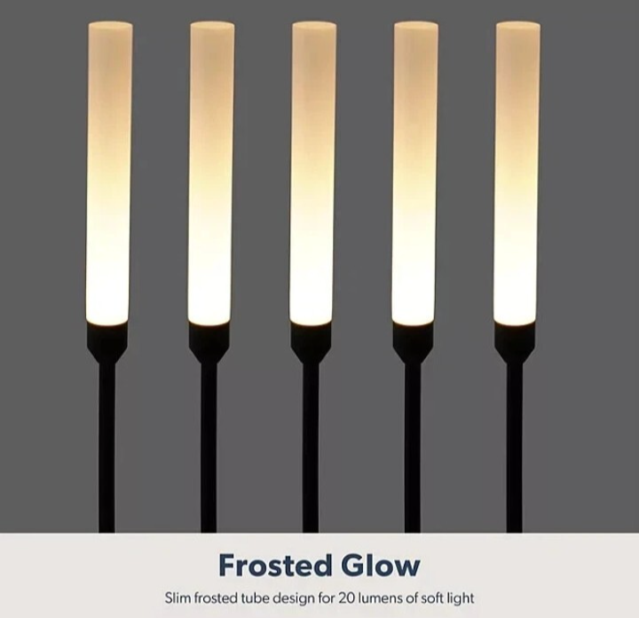 Member's Mark Solar Landscape Accent Light Set, 5Pack | eBay