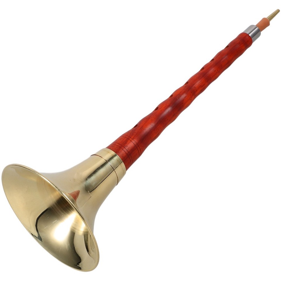 1 Set of Beginner F Key Suona Wood -made Suona Instrument Ethnic Wind ...