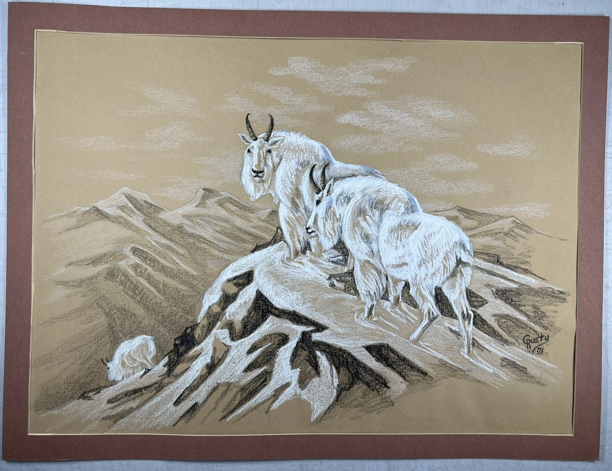 Rocky Mountain Goat Drawing