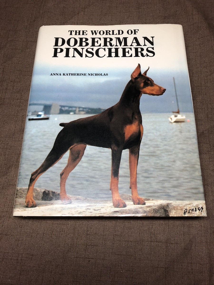 Biggest Doberman Ever