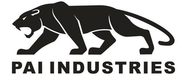 International Camshaft Positioning Sensor Pai 450651 Ref.# 1876736c91 ...