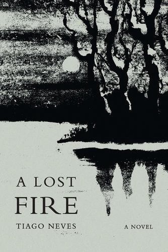 A Lost Fire by Tiago Neves Paperback Book 9789893345986| eBay
