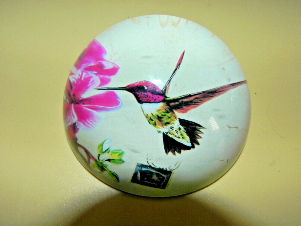 World Buyers Nature Under Glass Paperweight " Hummingbird" | eBay