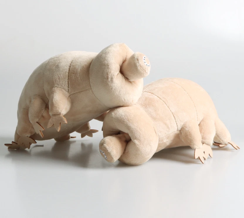 Real Water Bears