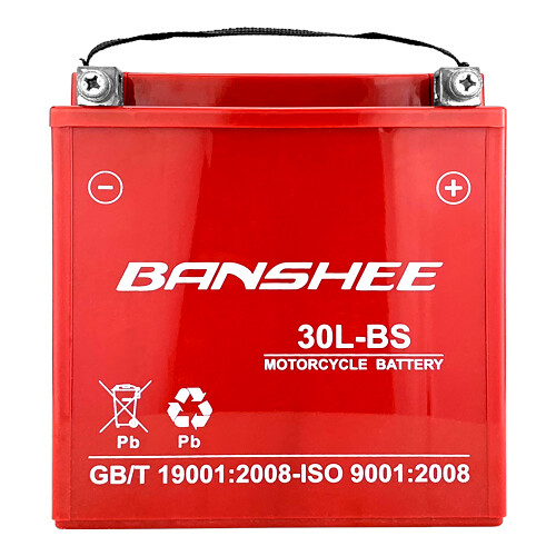 500 CCA 4014609 12 Volt 30AH AGM Battery 2015-2019 for Slingshot Ace ...