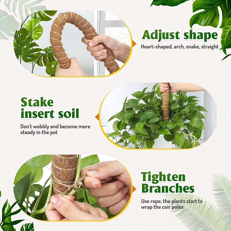 4 Pack 70Cm Pflanzenstab Moosstab Monstera Rankhilfe Biegsame Moosstab ...