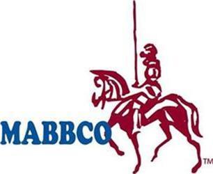 1986-1988 Ford 177 2.9L V12 Gasoline Engine Short Block | MABBCO ...