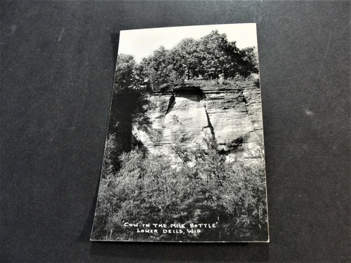 Cow in the Milk Bottle, Lower Dells, Wisconsin-Kodak Real Photo ...