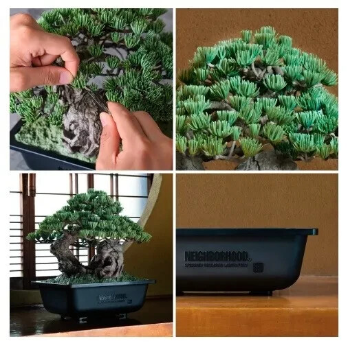 SRL X BANDAI SPIRITS BONSAI NEIGHBORHOOD PLANT MODEL KIT Premium APRIL ...