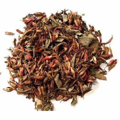 Phool Dhawa Dhawai Flower Woodfordia Fruticosa Anogeissus Latifolia ...