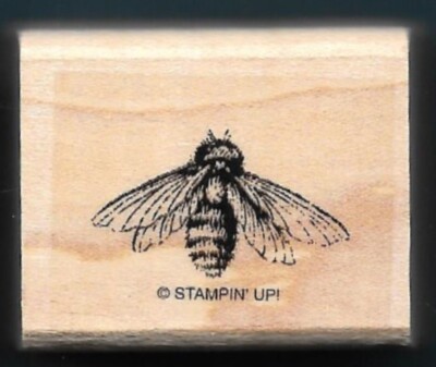 HONEY BEE FLYING INSECT Bumblebee Nature Stampin' Up! Wood Mount Rubber ...