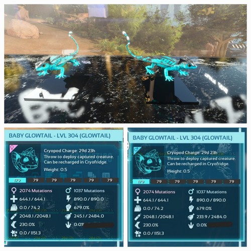 ARK ASCENDED PVE OFFICIAL PAIR BABY GLOWTAIL TRON HIGH STATUS PC/XBOX ...