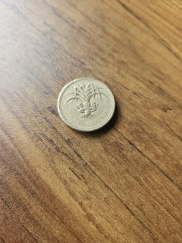 1 pound coin 1985 rare | eBay UK