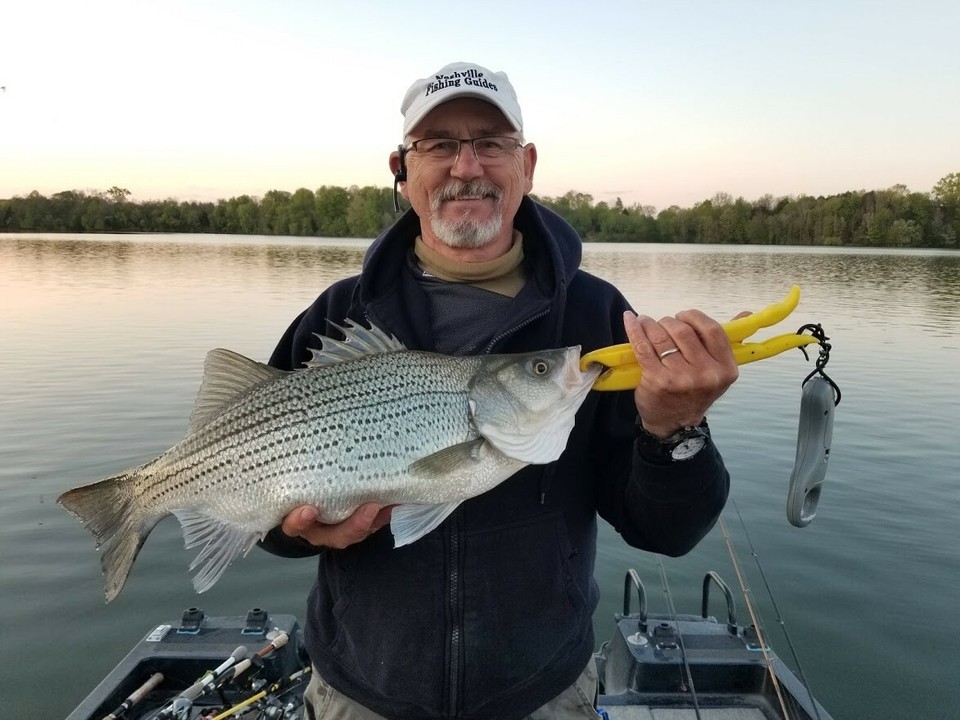 Hybrids Wipers Stripers White Bass Thumper Fish Attractor w/ 2 Remotes ...