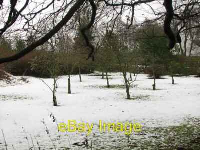 Photo 6x4 Railway line garden Dolphinton Following the track of the old ...