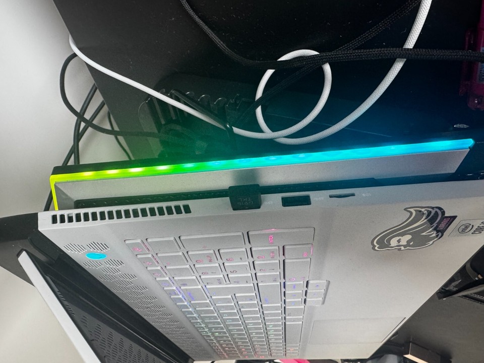 Alienware m17 R2 17.3" FHD 165Hz Gaming Laptop NVIDIA RTX 3080 16GB ...