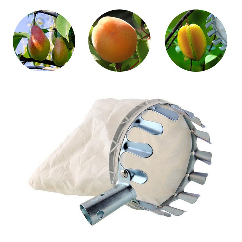 Ergonomic Fruit Picker Handheld Farm Fruit Picker Effective Harvest ...