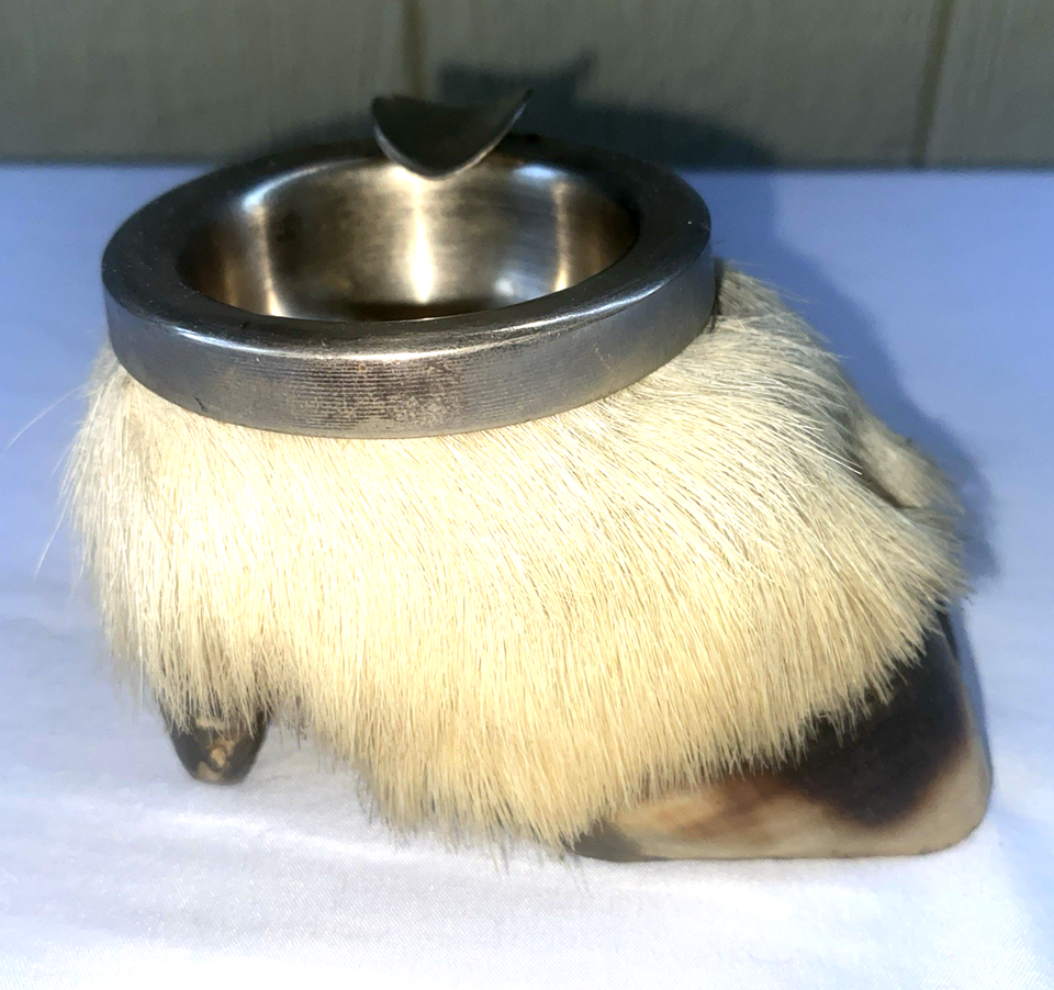 Vintage Antique Taxidermy Goat Hoof Ashtray | eBay