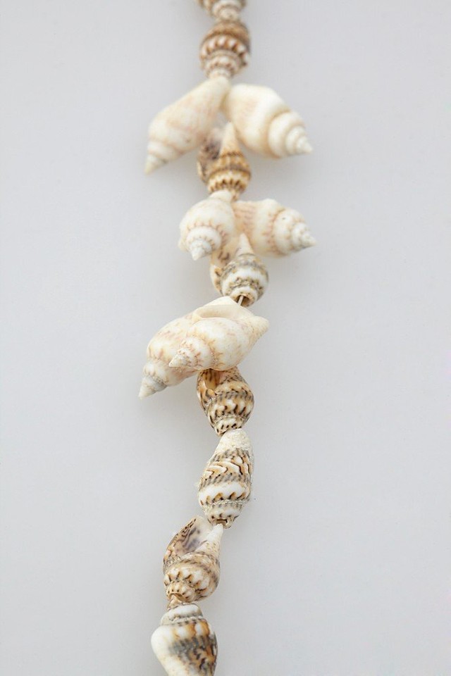 Hawaii Shell Luau Leis 24 Pack Umbrella | eBay