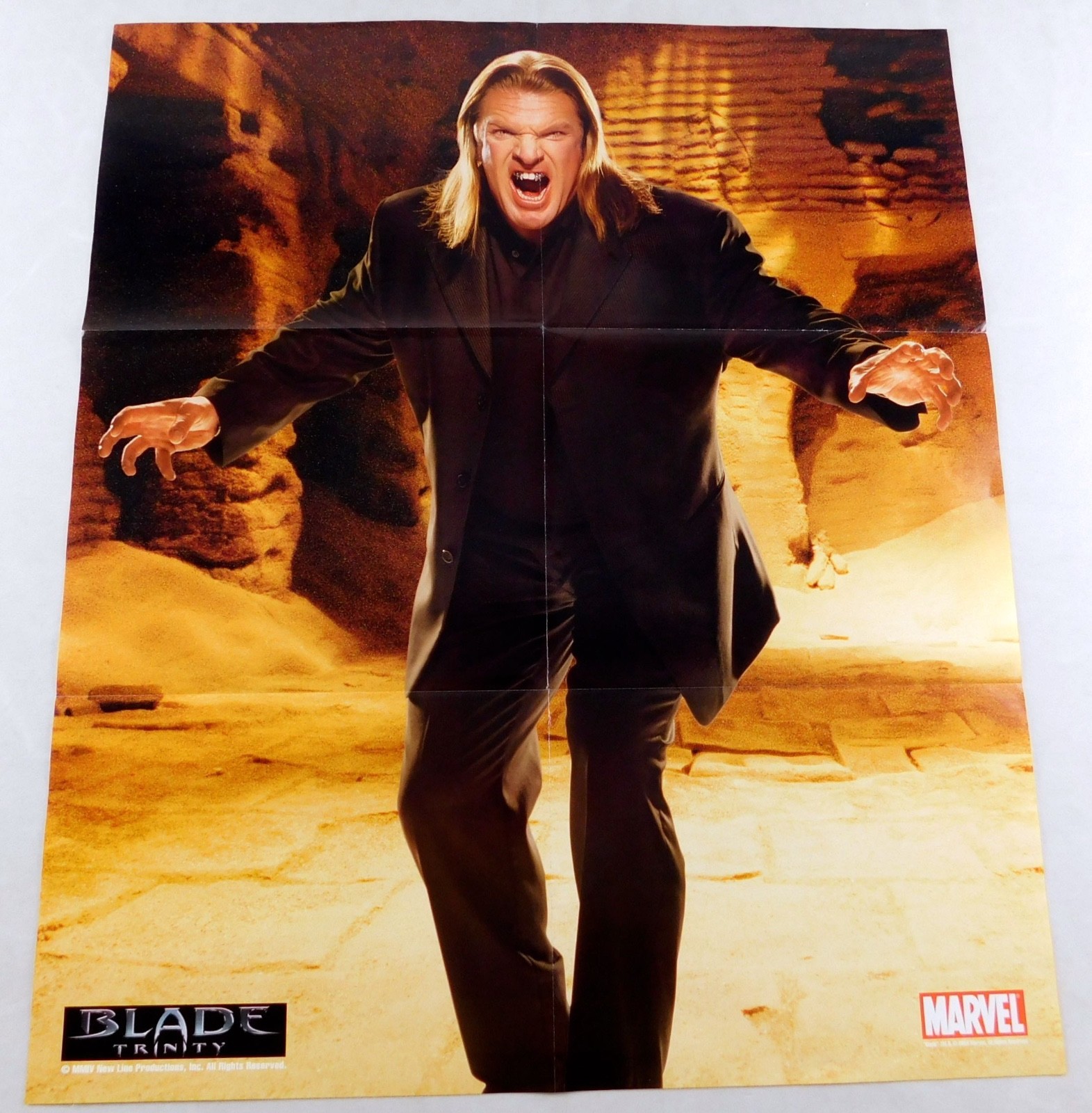 HHH The Blade Trinity 21x24 WWE Wrestling Poster Wrestler Movie TV Raw ...
