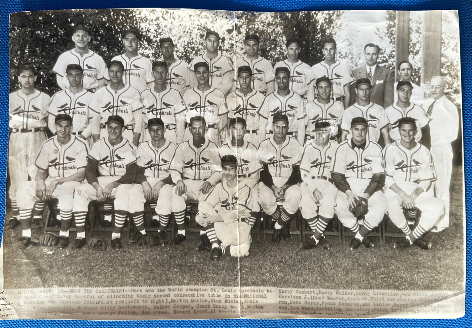 1944 ST. LOUIS CARDINALS MAJOR LEAGUE BASEBALL TEAM 11 X 16 WIRE PHOTO ...