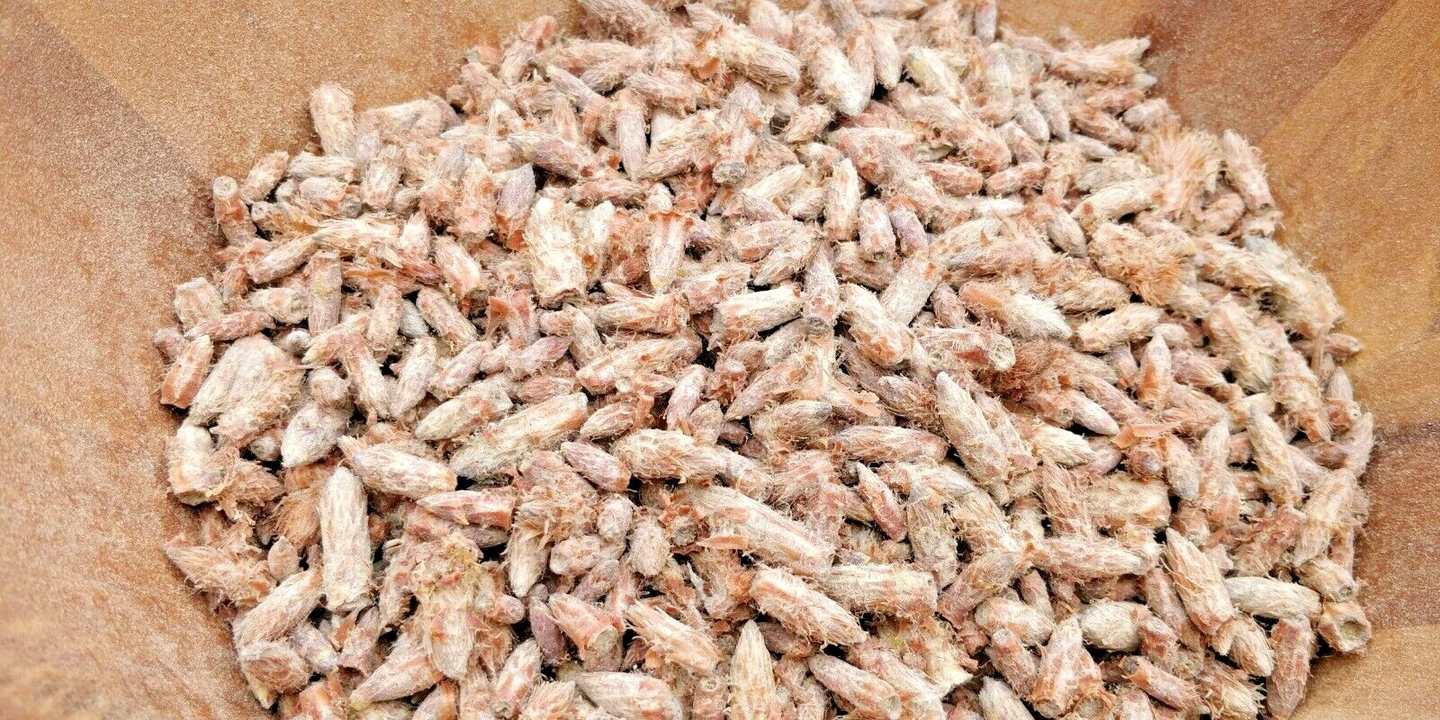 Pine Buds Herb Dried (Pinus Sylvestris L.) Herbal Tea Paczki Sosny FAST ...