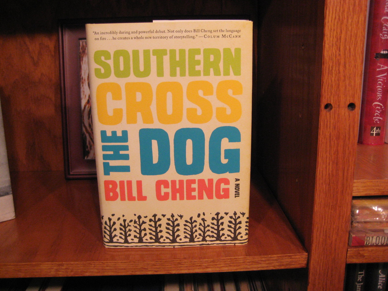 Southern Cross the Dog Bill Cheng 1st HC Ecco Press 2013 Fine Unread | eBay