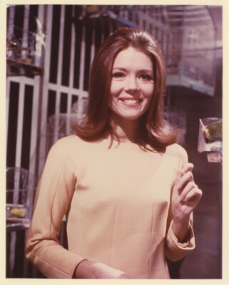Diana Rigg The Avengers 1960's Mod Hair and Fashion Vintage 8x10 Color ...