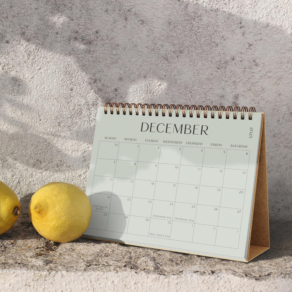 Aesthetic Desk Calendar 2025-2026 Small Flip Desktop Calendar Organizer ...