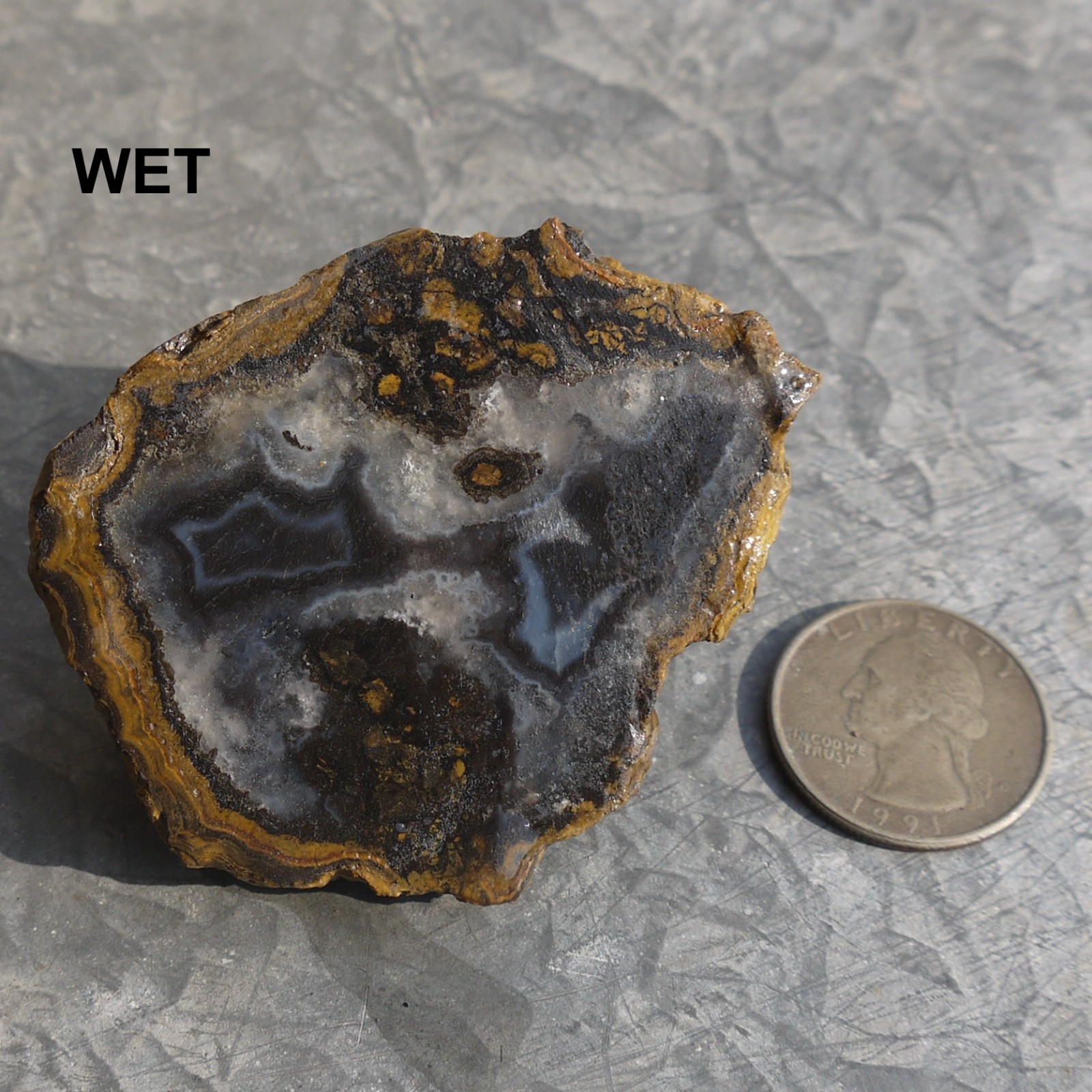 Natural Gobi eye stone Gobi rough agate/Jasper for Bonsai Suiseki gm619 ...