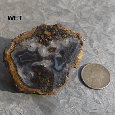 Natural Gobi eye stone Gobi rough agate/Jasper for Bonsai Suiseki gm619 ...