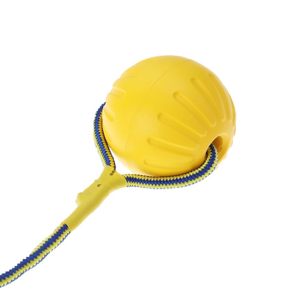 Pet Hollow EVA Ball with Rope Dog Ball Launcher Thrower for Pets ...
