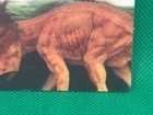 Styracosaurus Dinosaur 3D card 1999 Shinzen Takeuchi Japanese very rare ...