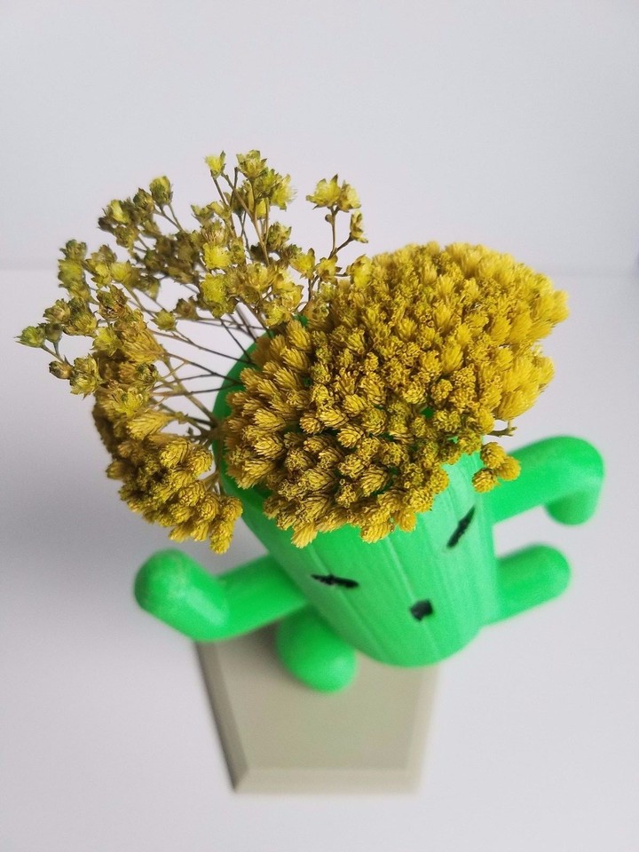 CACTUAR Final Fantasy Trophy Planter Flower Pot XV Cactus Anime ...
